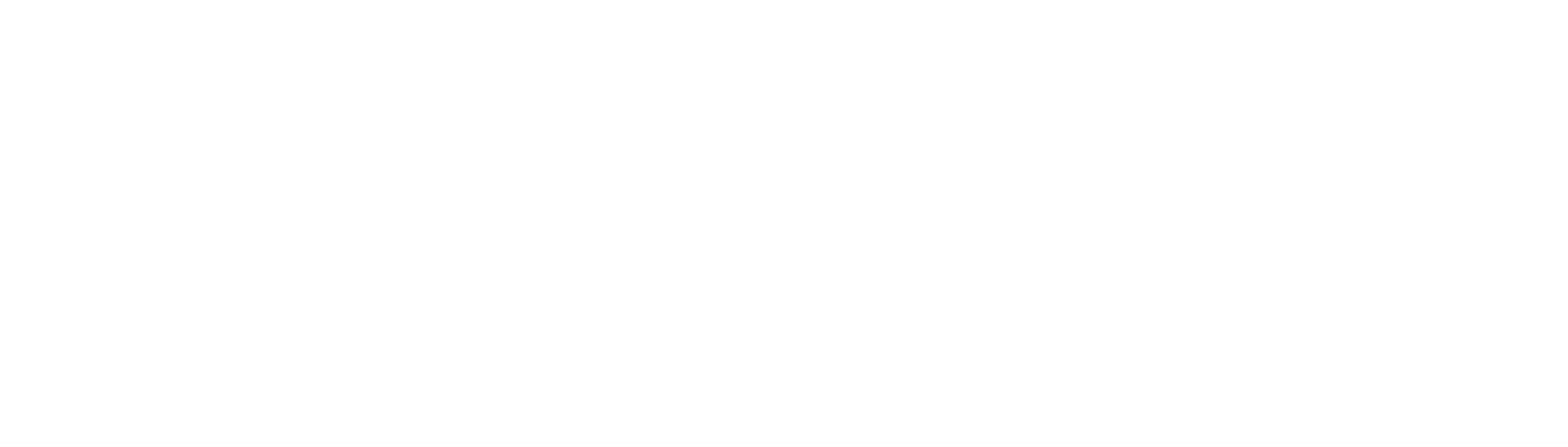 FocusVision